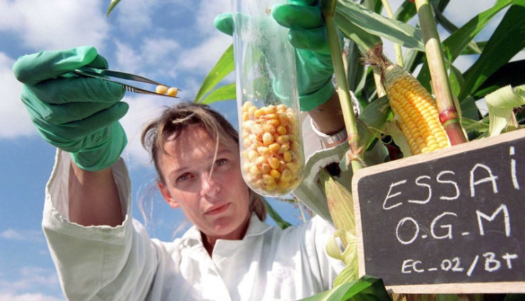 Nasce la task force per un'Italia libera da Ogm - LifeGate