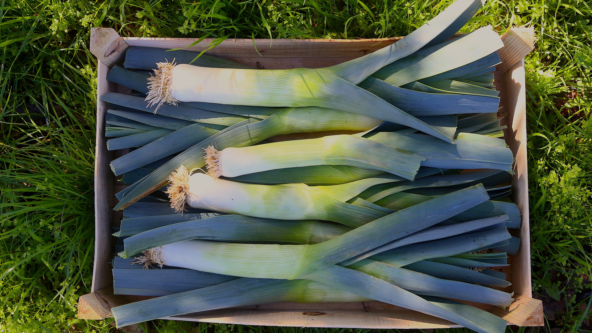 Il viaggio di uno chef stellato alla ricerca del meglio delle ...
