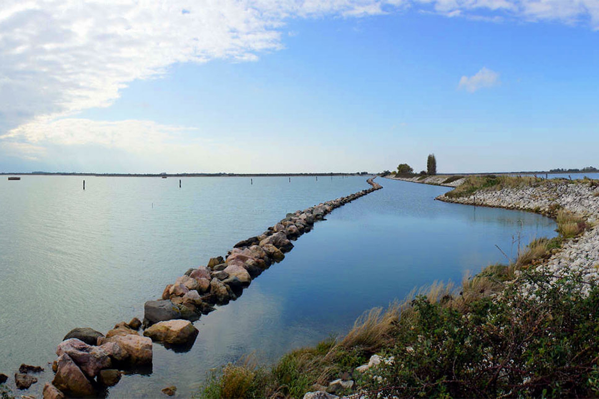 Perché il delta del Po deve diventare parco nazionale - LifeGate