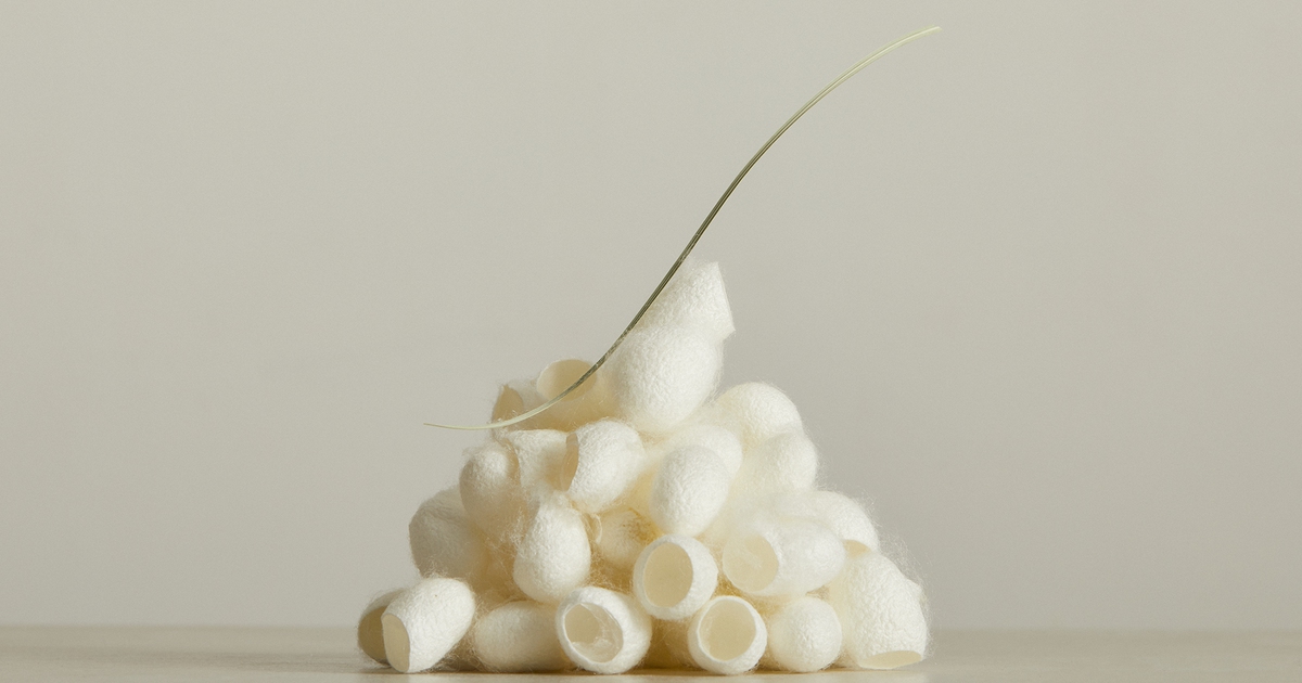 Seta continua, discontinua e selvaggia: qual è la differenza - LifeGate