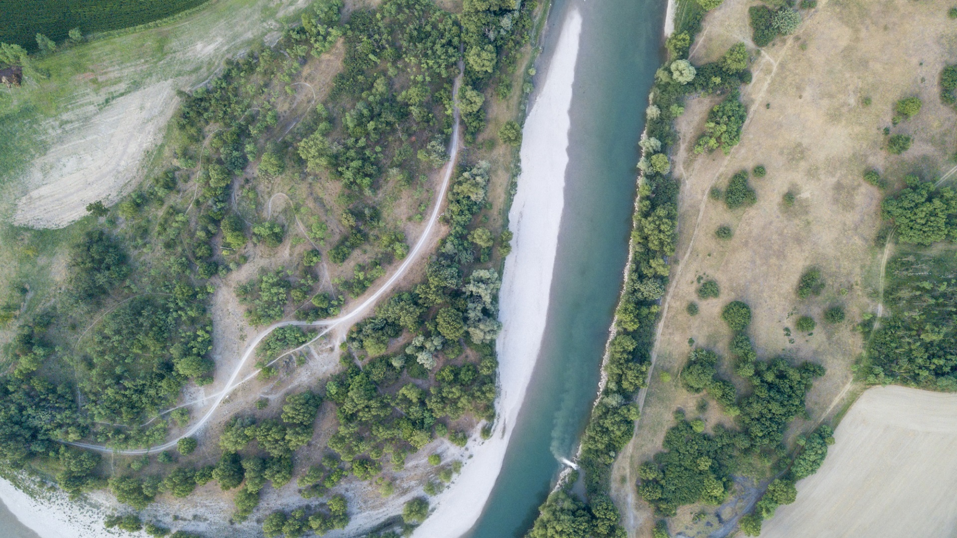 La Nasa sfrutta satelliti e intelligenza artificiale per gli alberi in ...