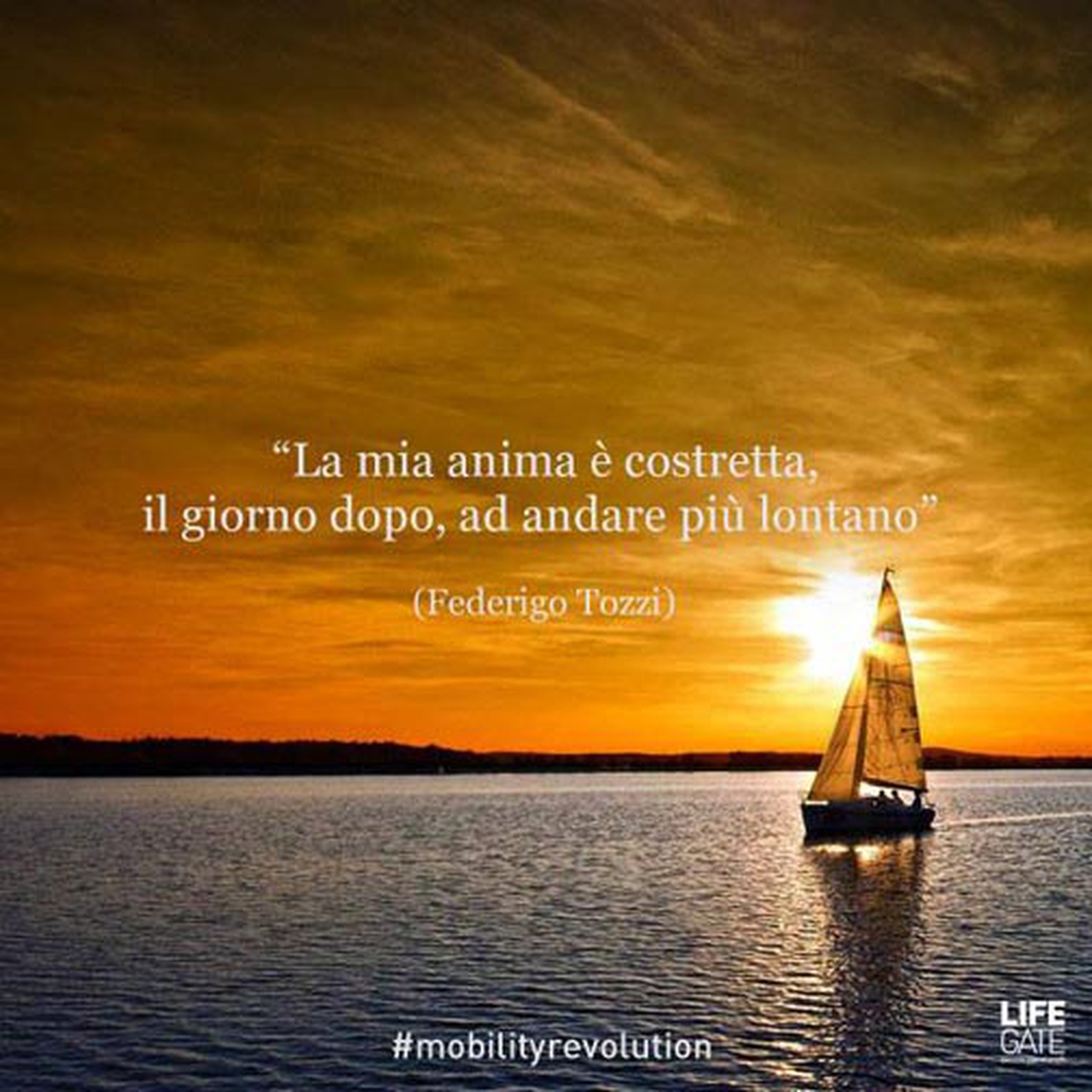 Le citazioni più belle per sempre - LifeGate