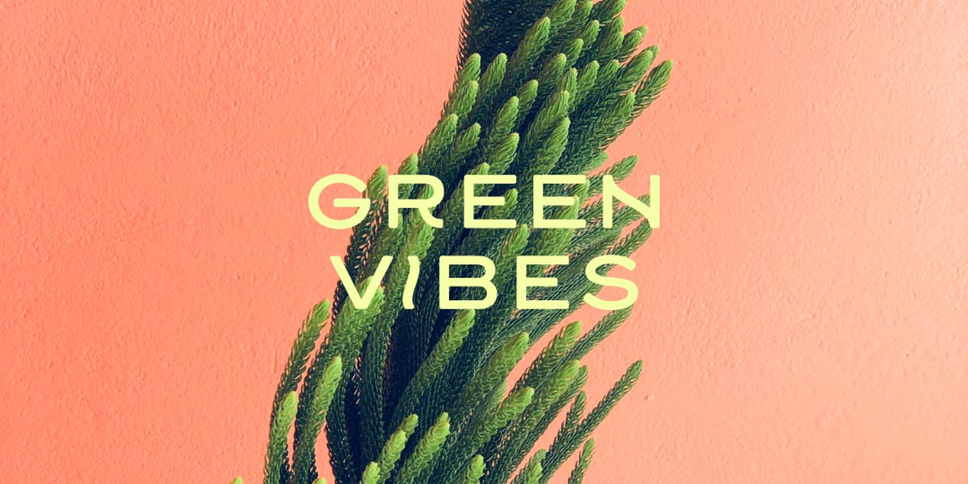 La rivoluzione sostenibile del sesso arriva con Green Vibes - LifeGate