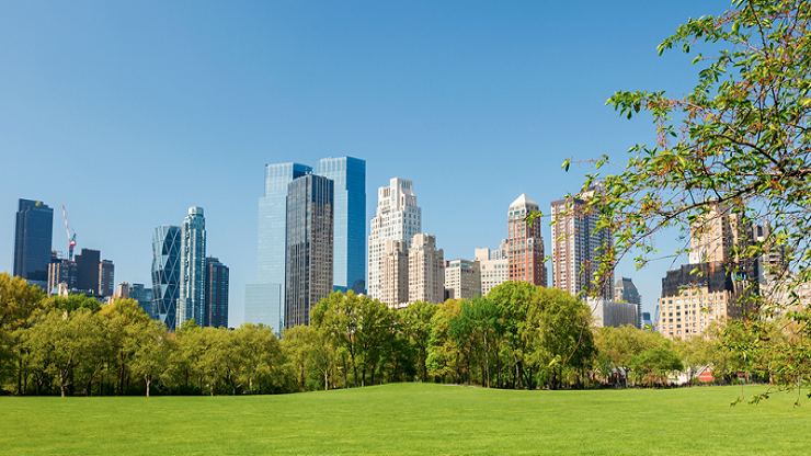 Rivoluzione verde, come la città diventa sostenibile - LifeGate