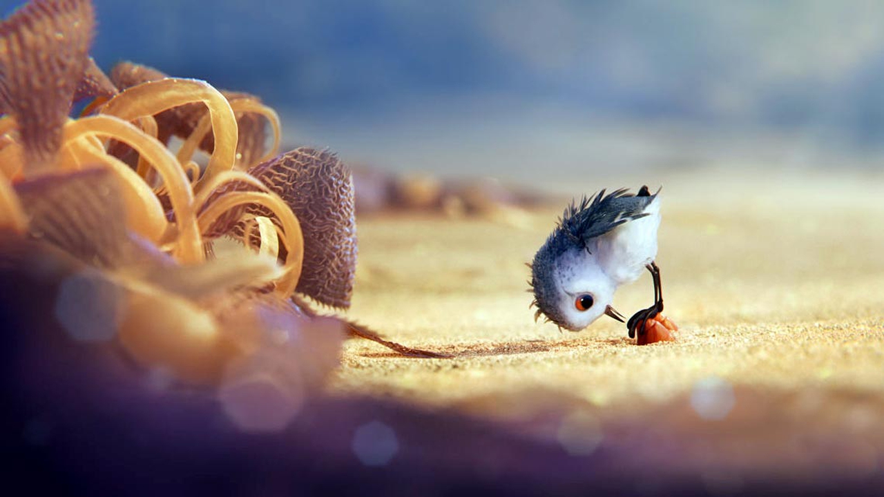 Piper, Disney - Pixar - LifeGate