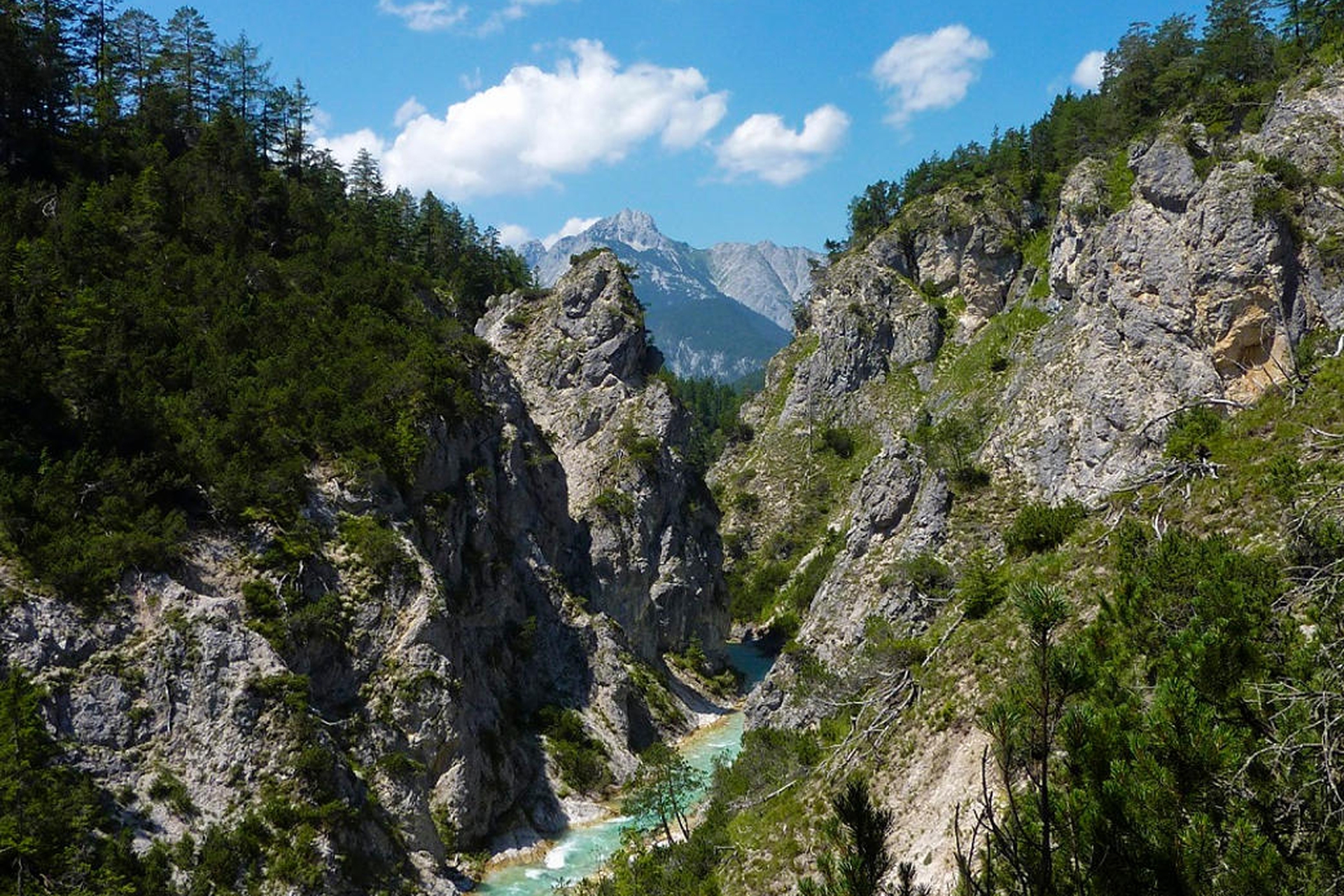 La natura intatta del Karwendel, la più grande area protetta del Tirolo ...