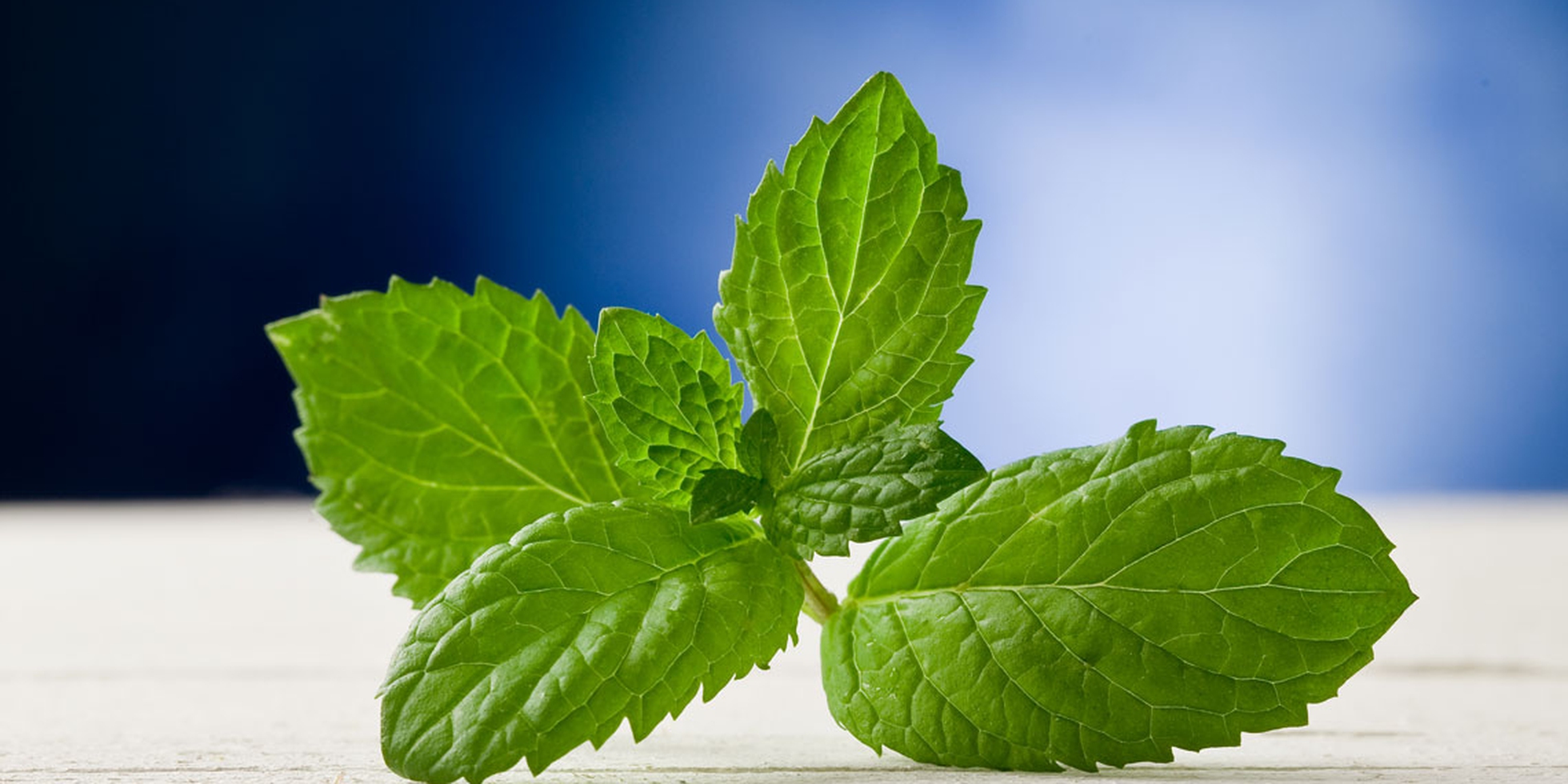 Menta e menta piperita: proprietà terapeutiche e uso in cucina - LifeGate