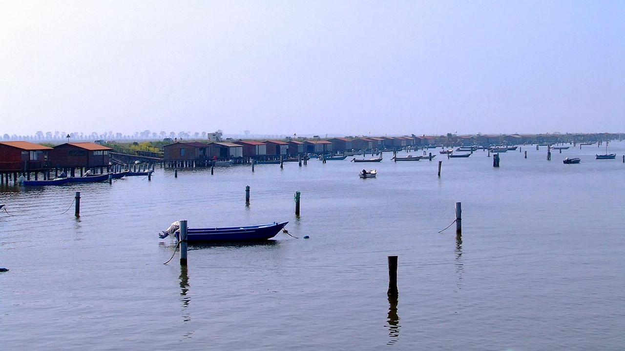 Perché il delta del Po deve diventare parco nazionale - LifeGate
