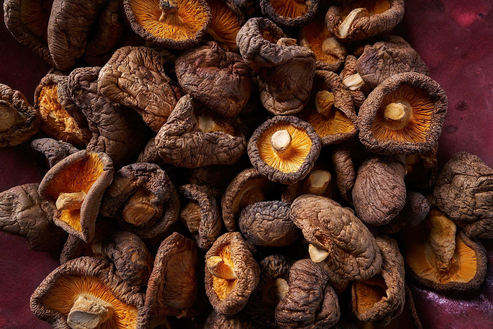 Funghi shiitake: benefici, ricette e coltivazione - LifeGate