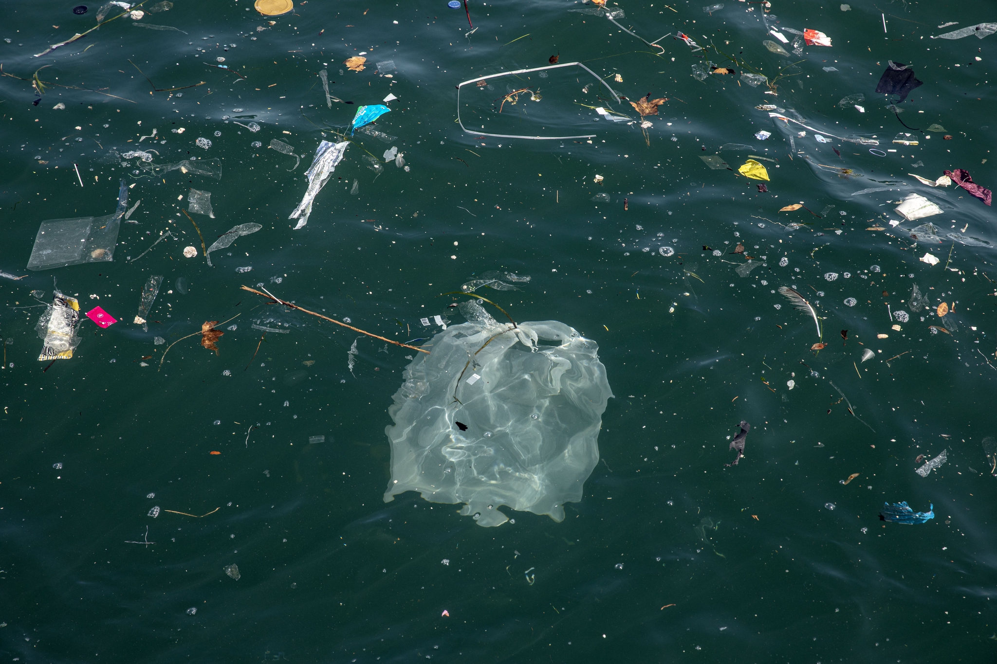 Single-use plastics ban in the United Kingdom - LifeGate