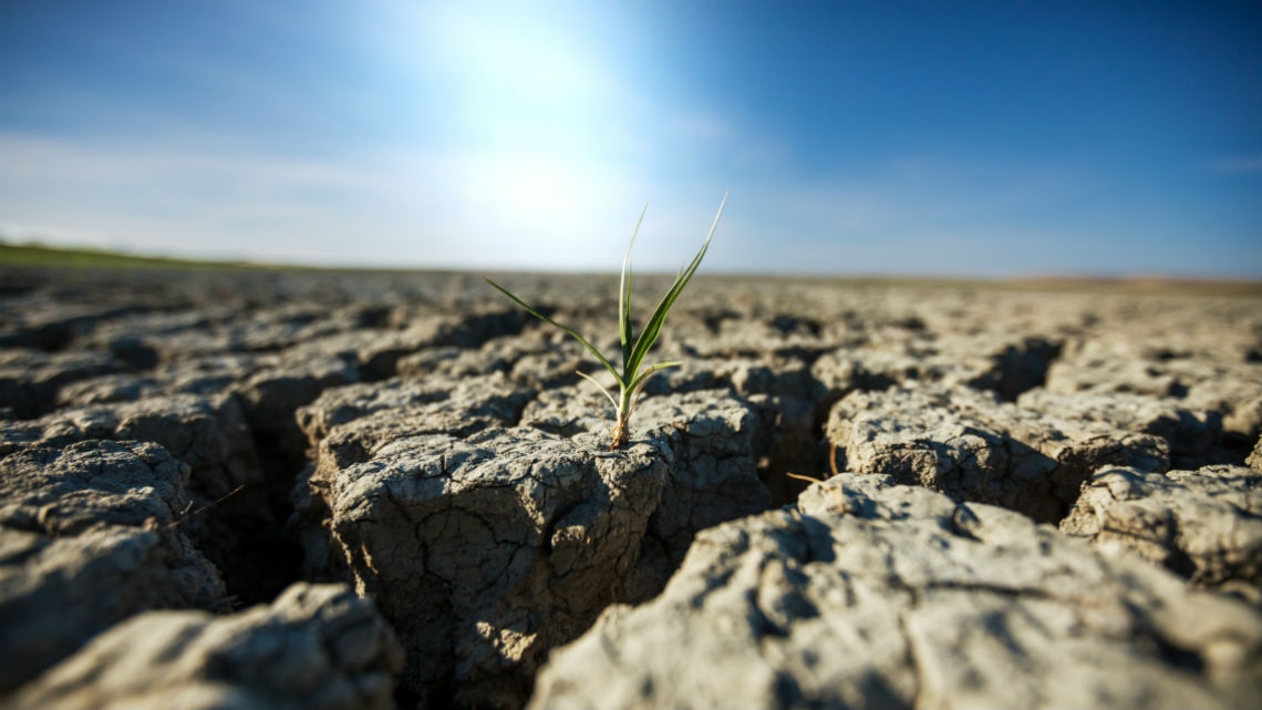 Italy faces drought. This year's winter feels like summer