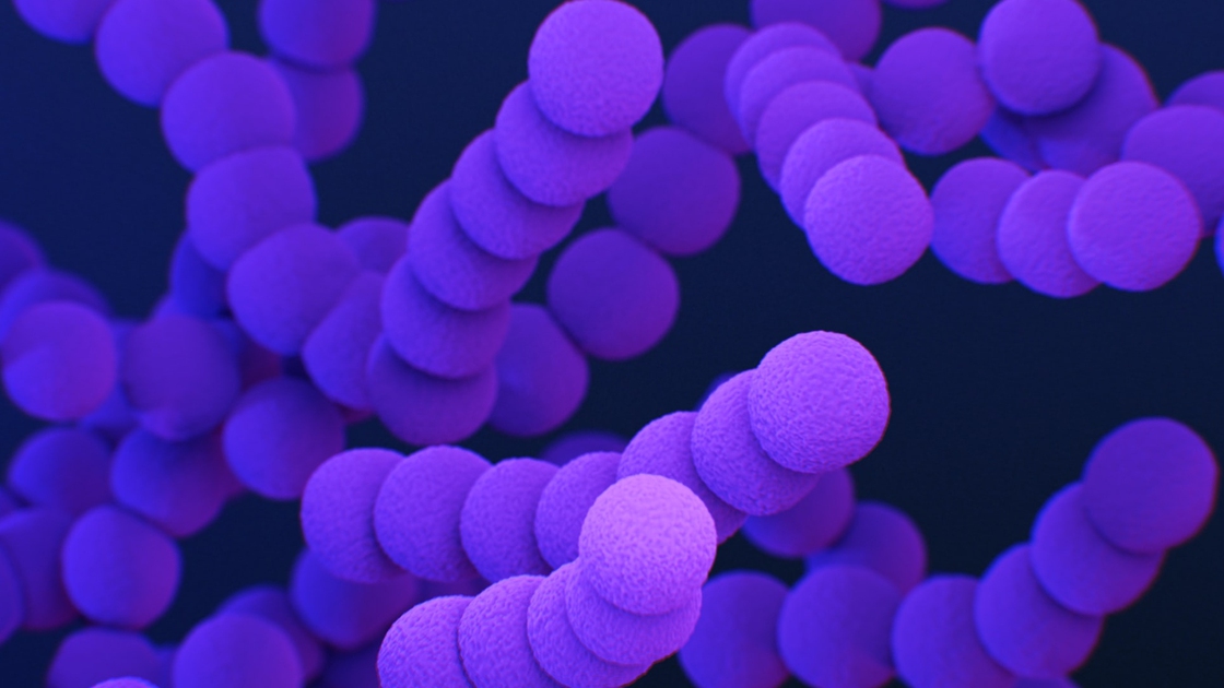 New report warns that we must reduce pollution to fight superbugs ...