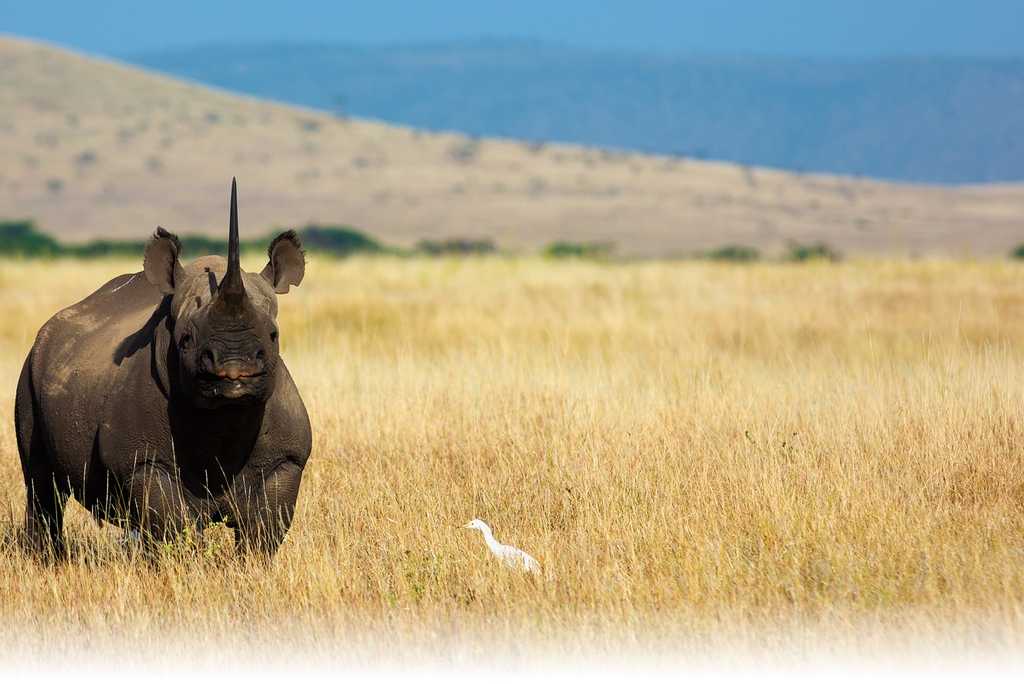 10 nature reserves you should visit at least once in your life - LifeGate
