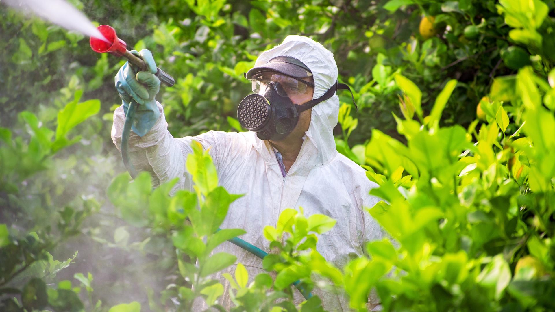 Pesticidi negli alimenti, a che punto siamo - LifeGate