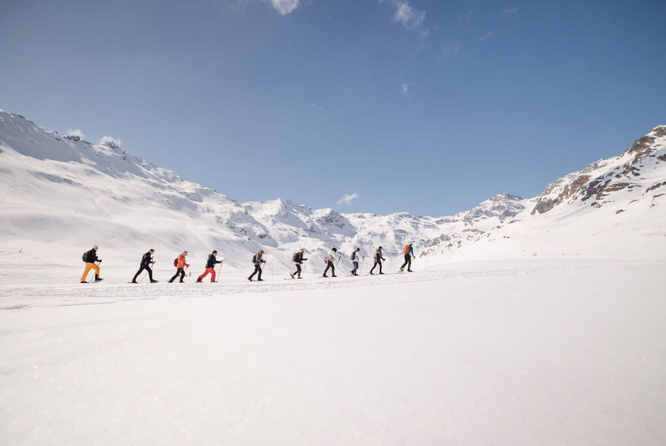 Licaone o lycaon pictus: tutto sul cane iena africano - LifeGate