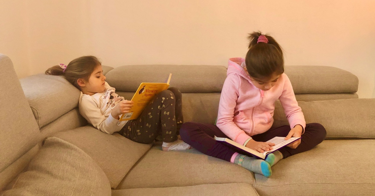 Scuole chiuse. E sul web arrivano le lezioni sul sofà - LifeGate