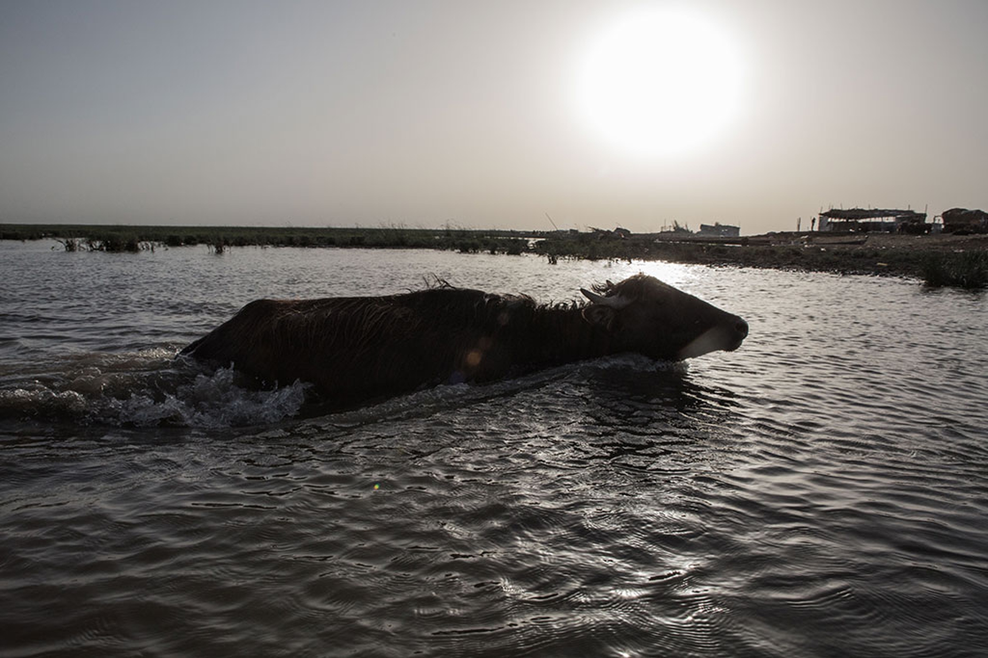 The activists defending the Tigris and Euphrates, in the birthplace of ...