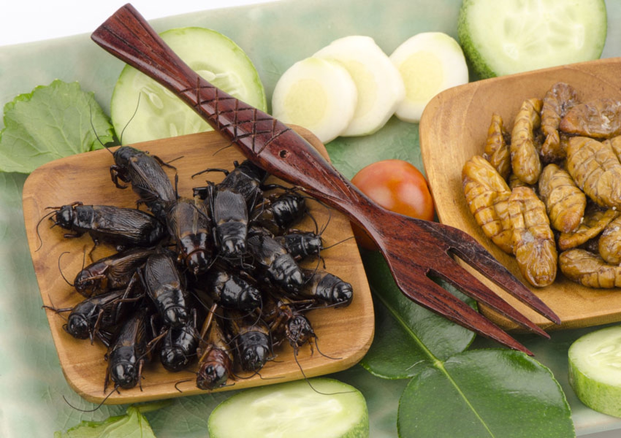 Quali sono gli insetti commestibili e chi li mangia - LifeGate