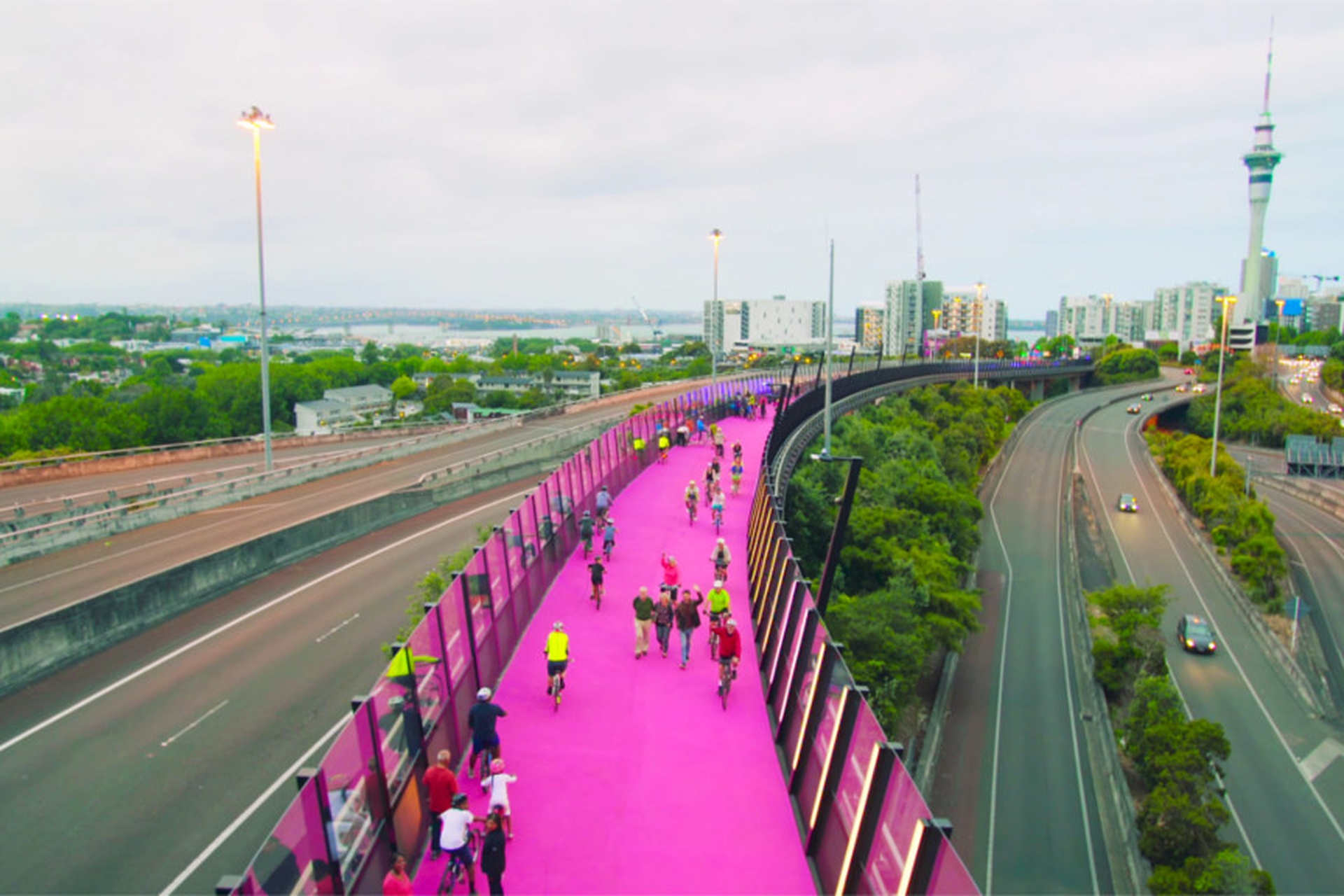 This pink cycling lane in New Zealand amazed the world - LifeGate