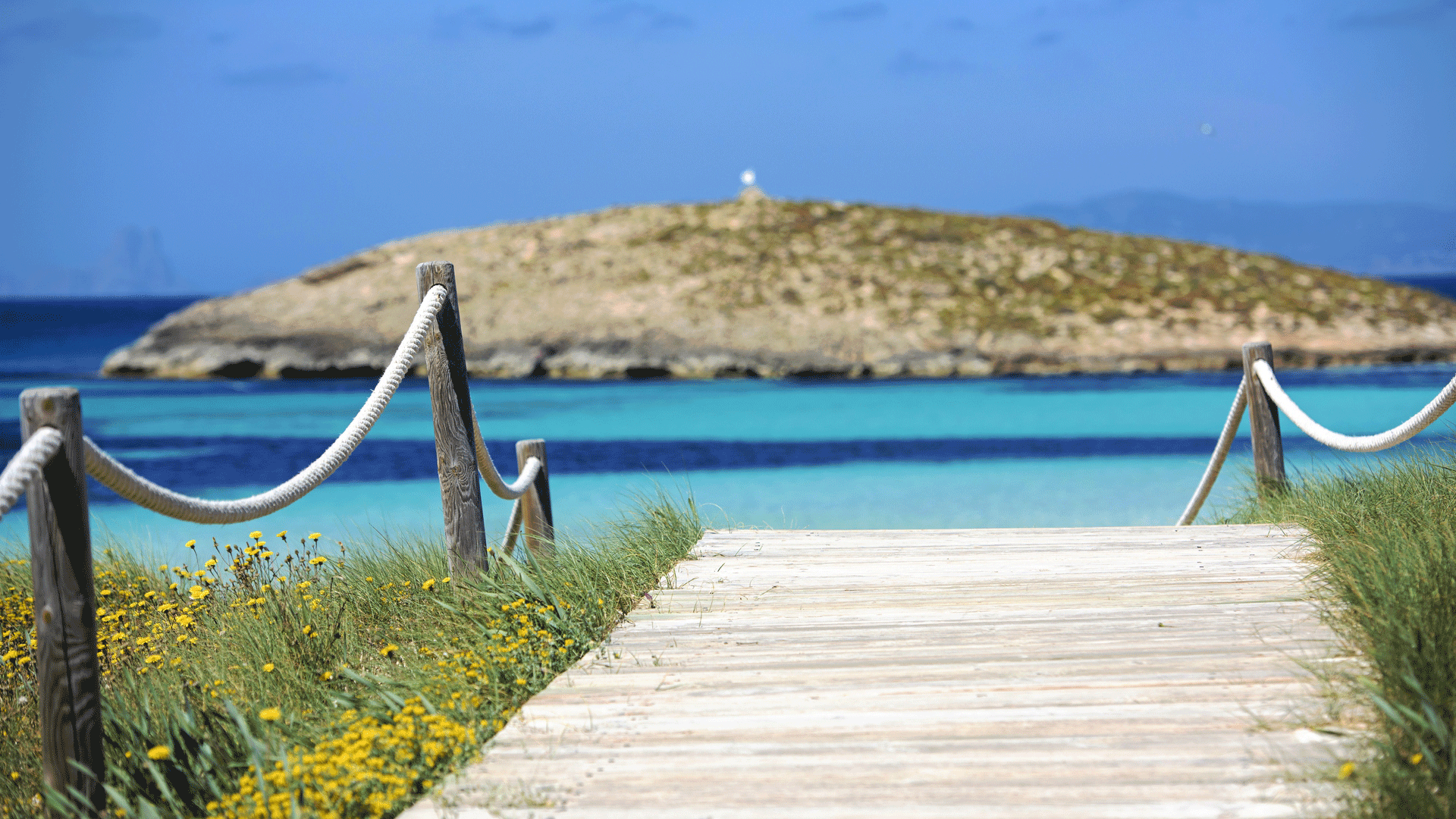 Formentera, 5 esperienze sostenibili da vivere nella natura - LifeGate