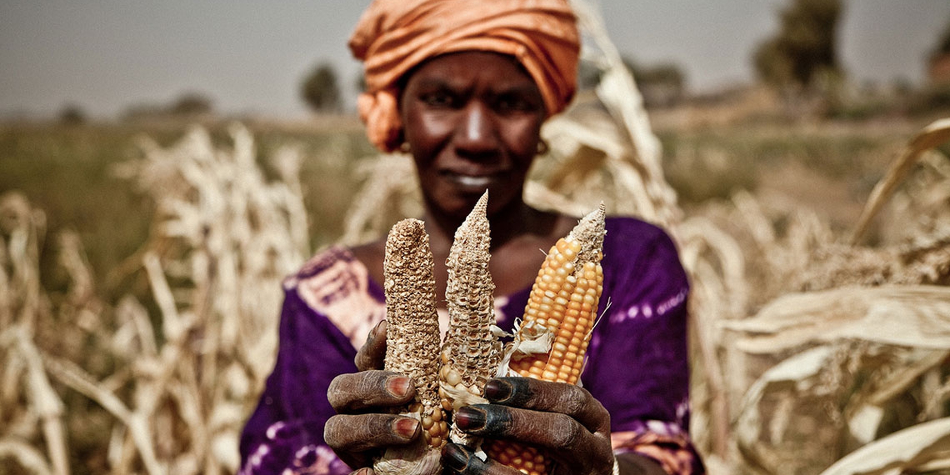 The sound of hunger, the video that makes the plight of 5 million ...