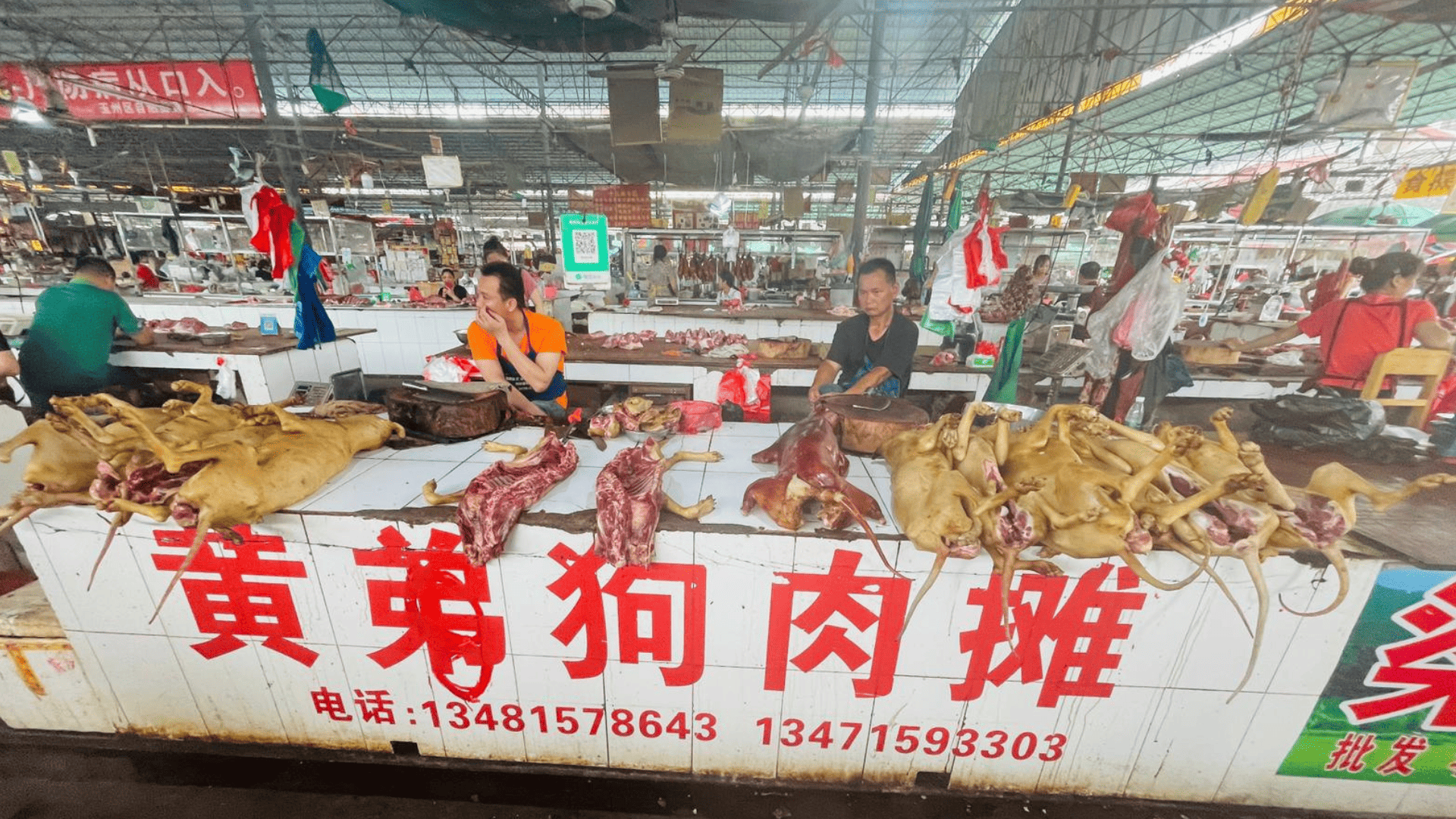 Al via il festival di Yulin con il solstizio d'estate - LifeGate