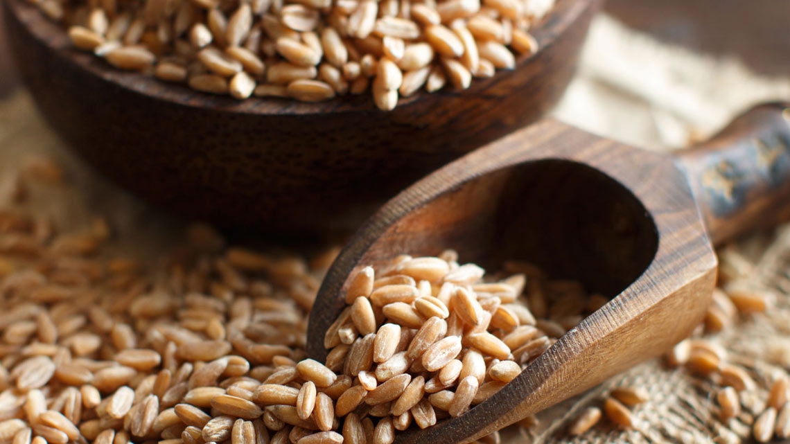 Farro: proprietà e come cucinarlo - LifeGate