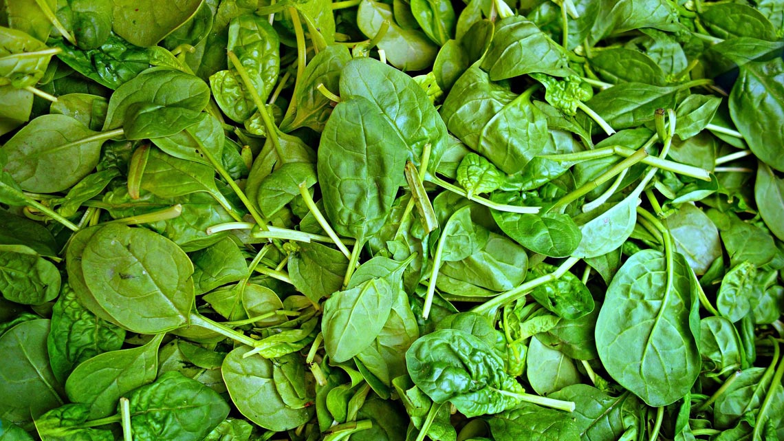 Spincaci: come si cucinano, ricette proprietà e coltivazione - LifeGate
