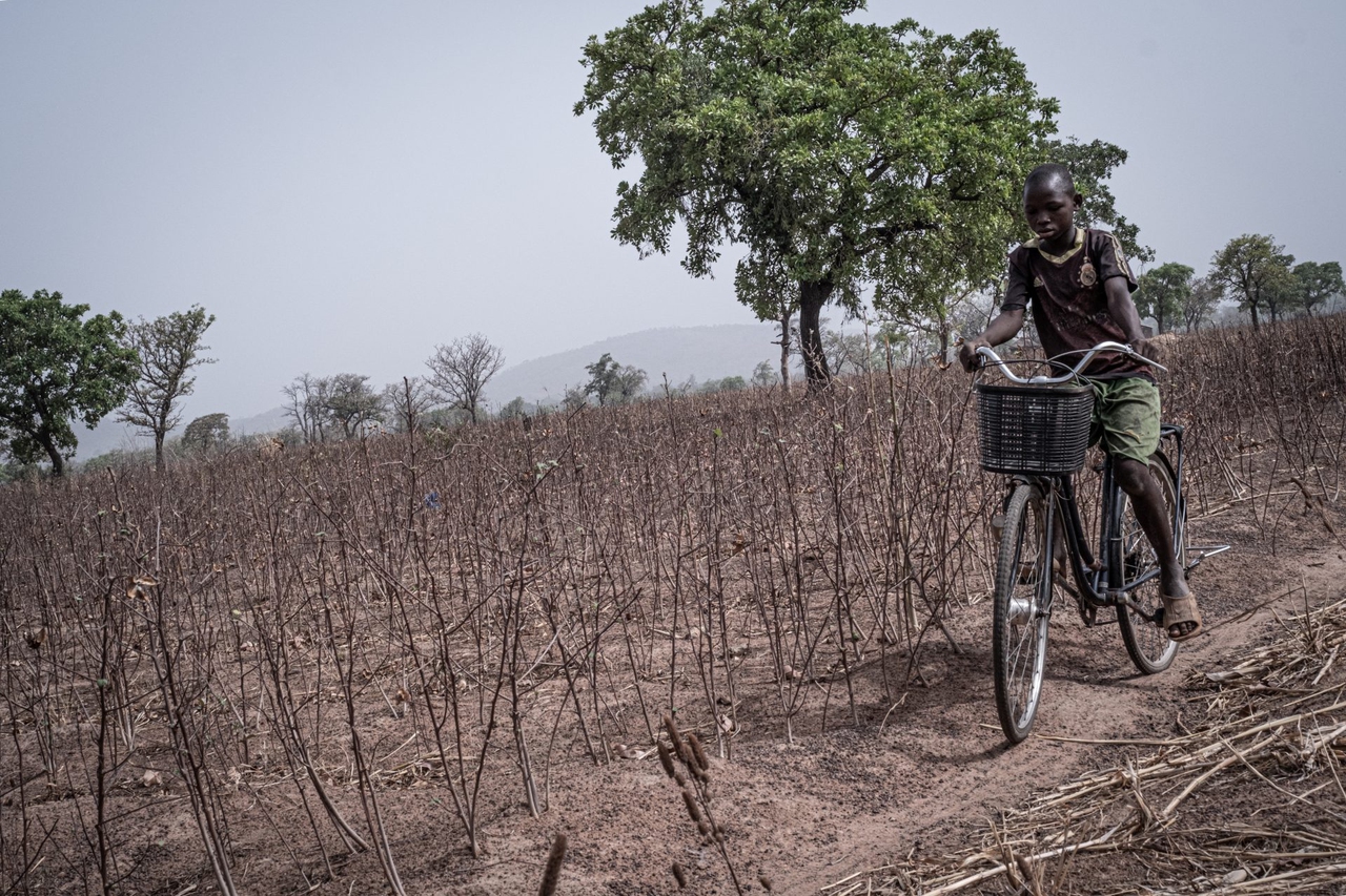 Benin is the new jihadist front in Africa - LifeGate