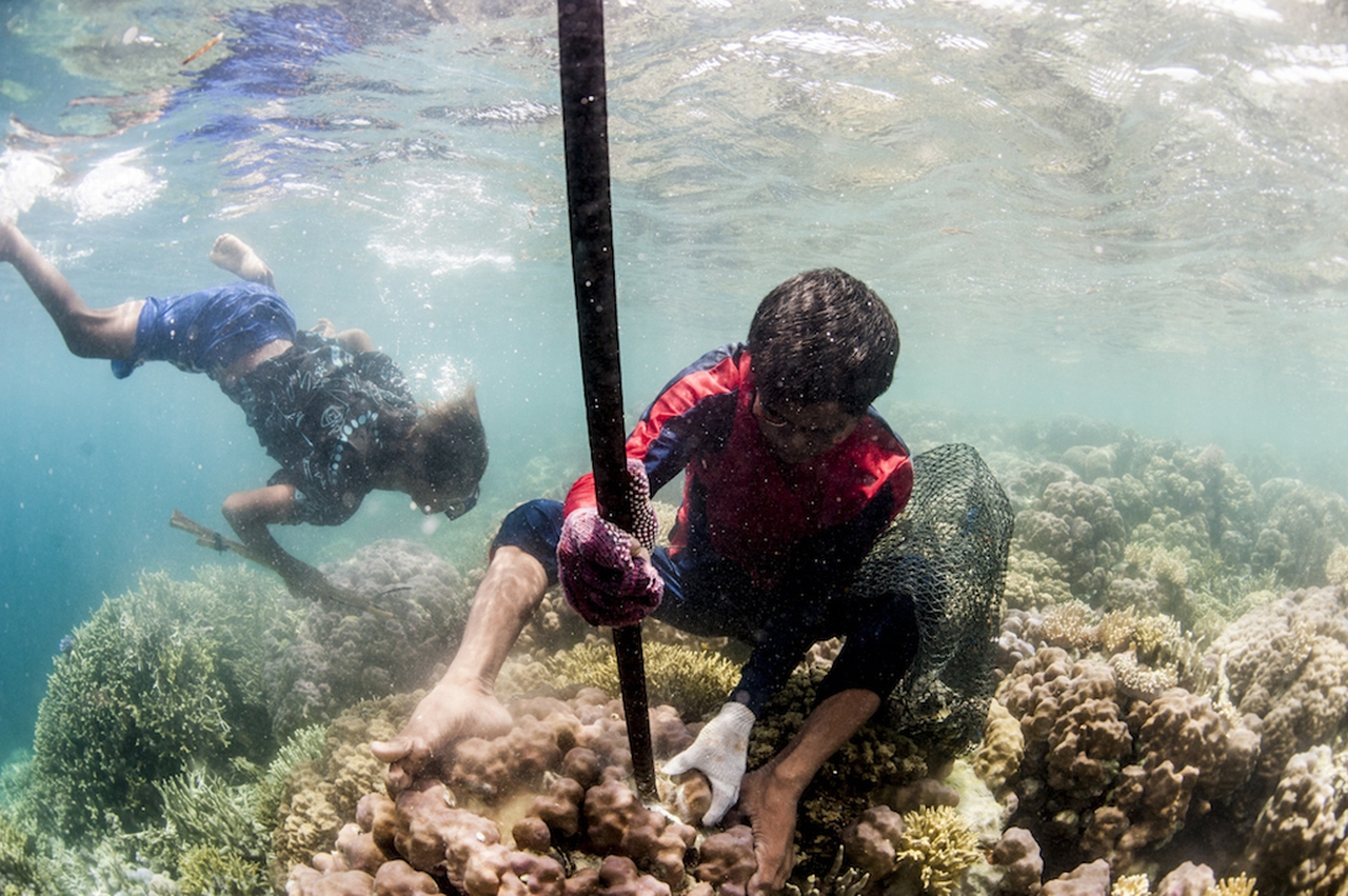 The Bajau Laut, the last nomads of the sea - LifeGate