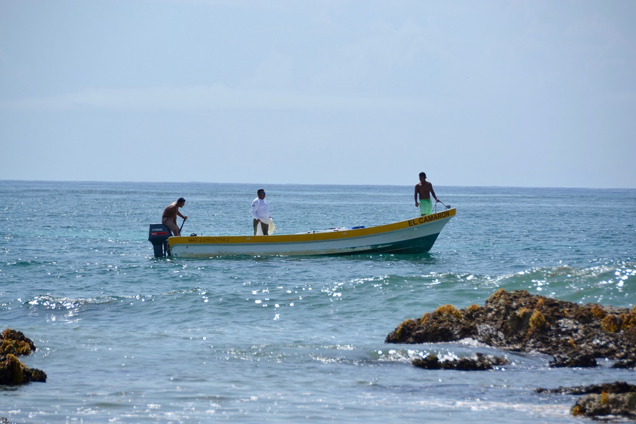 Corona x Parley - LifeGate