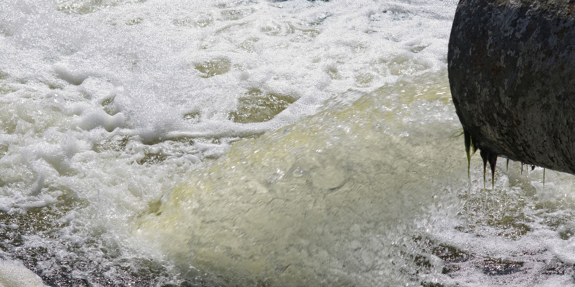 Che cos'è l'inquinamento idrico: comprendere e agire - LifeGate