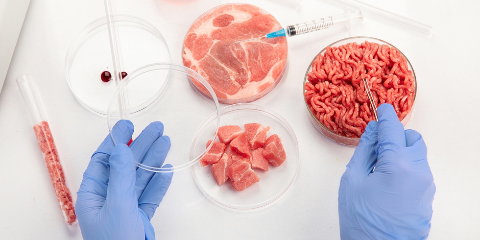 Carne coltivata e cibi sintetici, commenti e punti di vista sul divieto ...