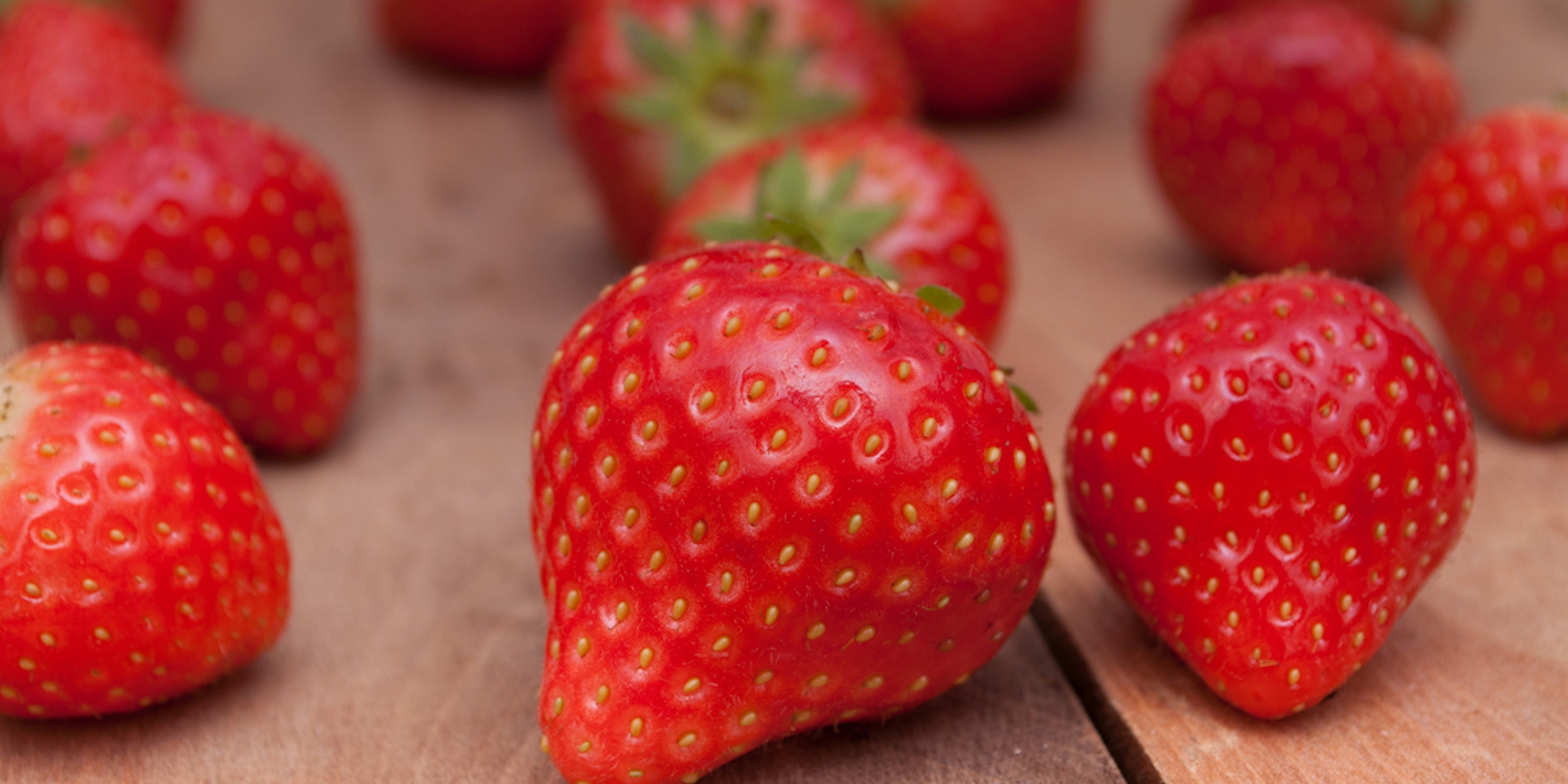 Rosse golosità, le fragole e le fragoline di bosco - LifeGate