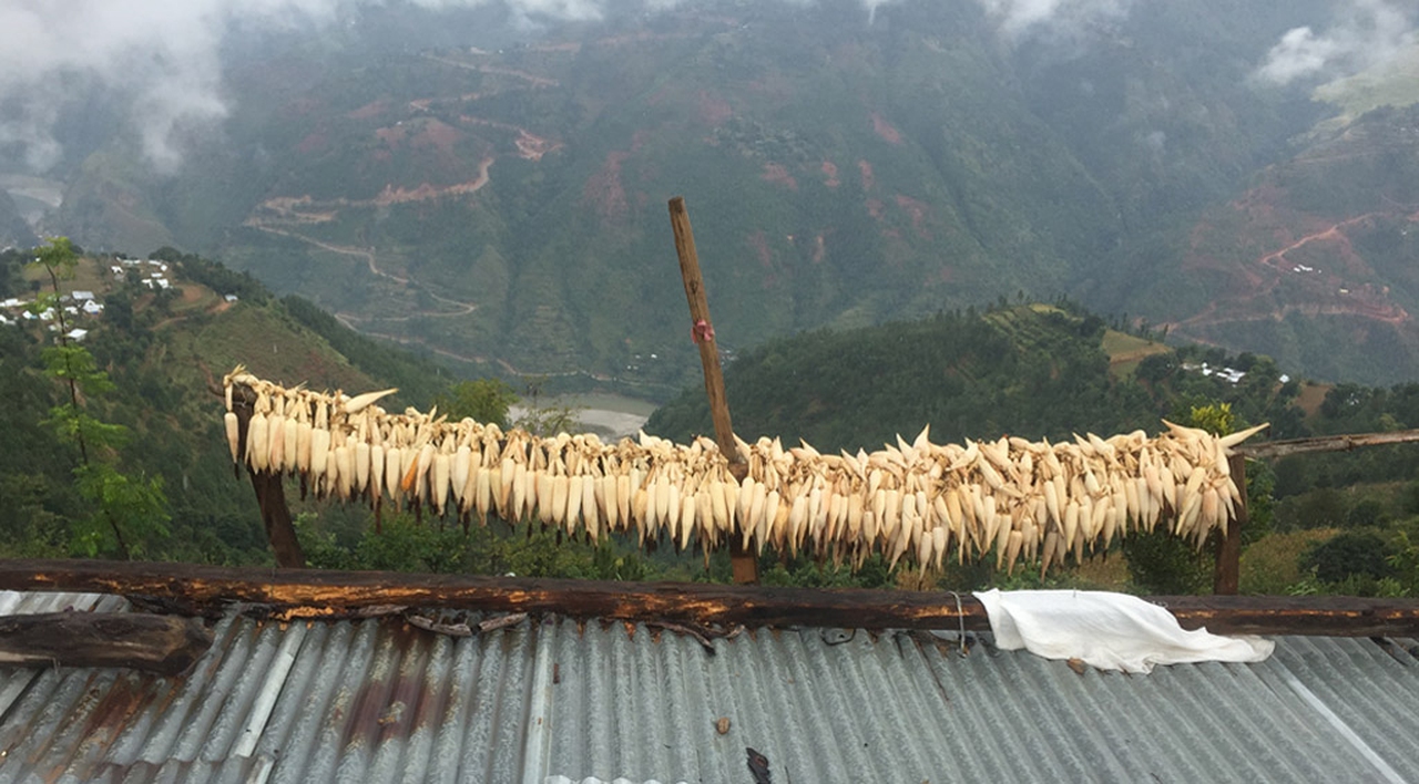 Ricostruire il Nepal con la cannabis - LifeGate
