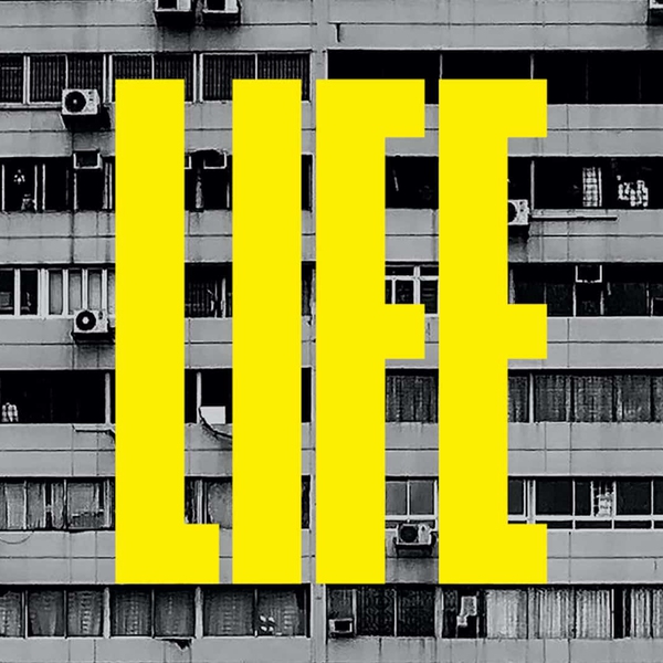 LifeGate - Notizie dal mondo della sostenibilità