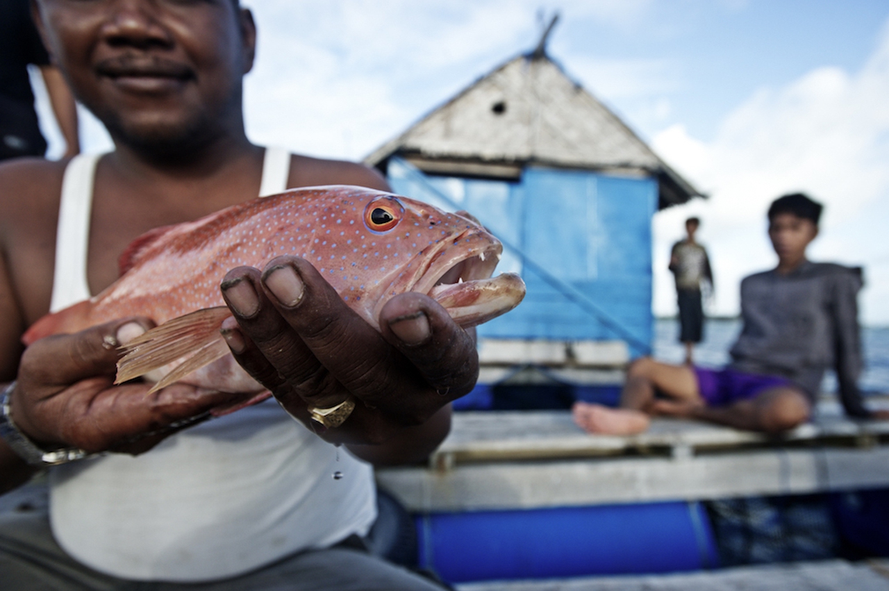The Bajau Laut, the last nomads of the sea - LifeGate