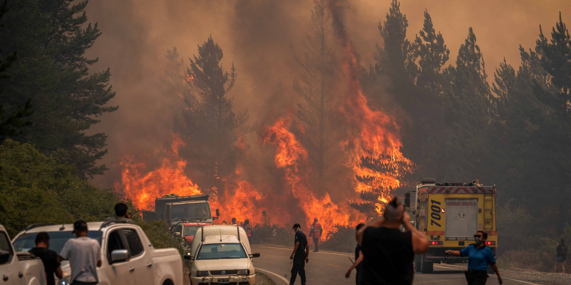 Gli incendi stanno bruciando la Patagonia argentina - LifeGate