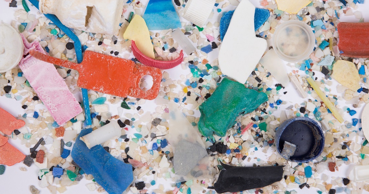 Trovate microplastiche nel sale e, per la prima volta, nella cacca umana