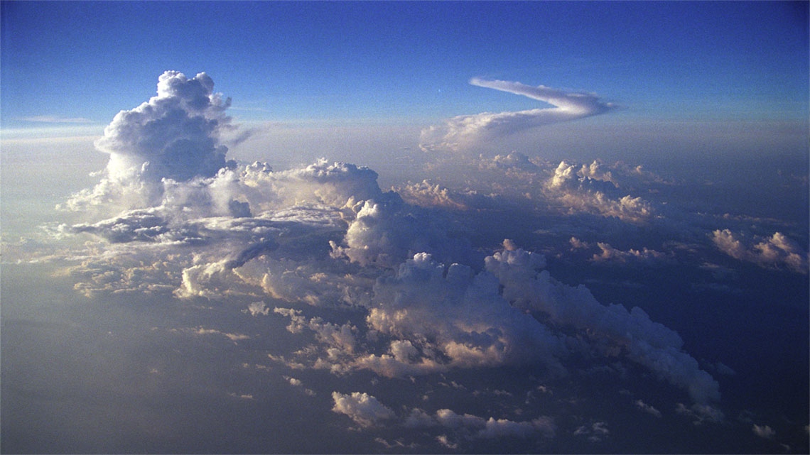 Sognare di volare, cos'è il sogno di volare - LifeGate