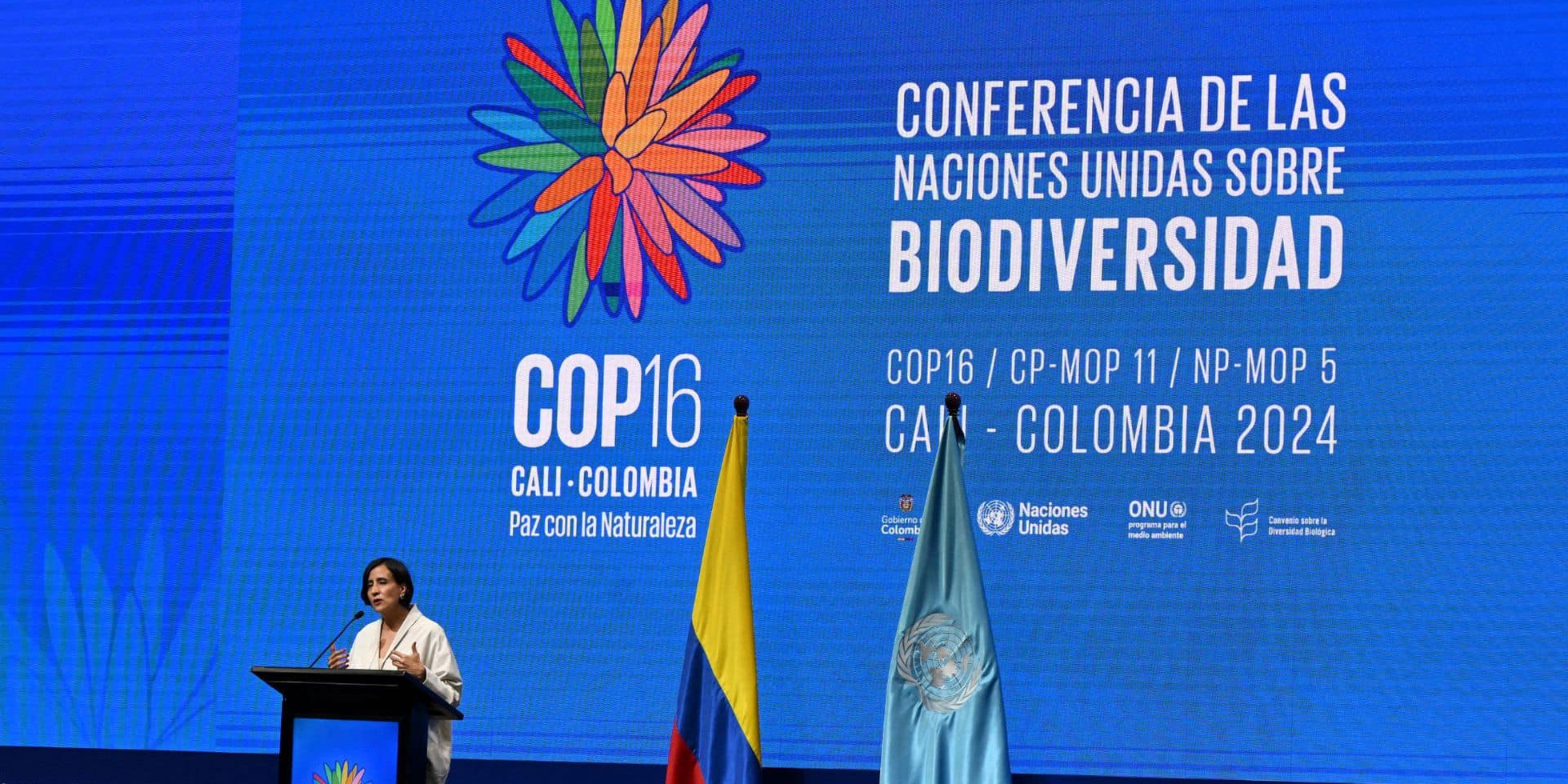 Prende il via in Colombia la Cop16 sulla biodiversità: gli obiettivi e ...
