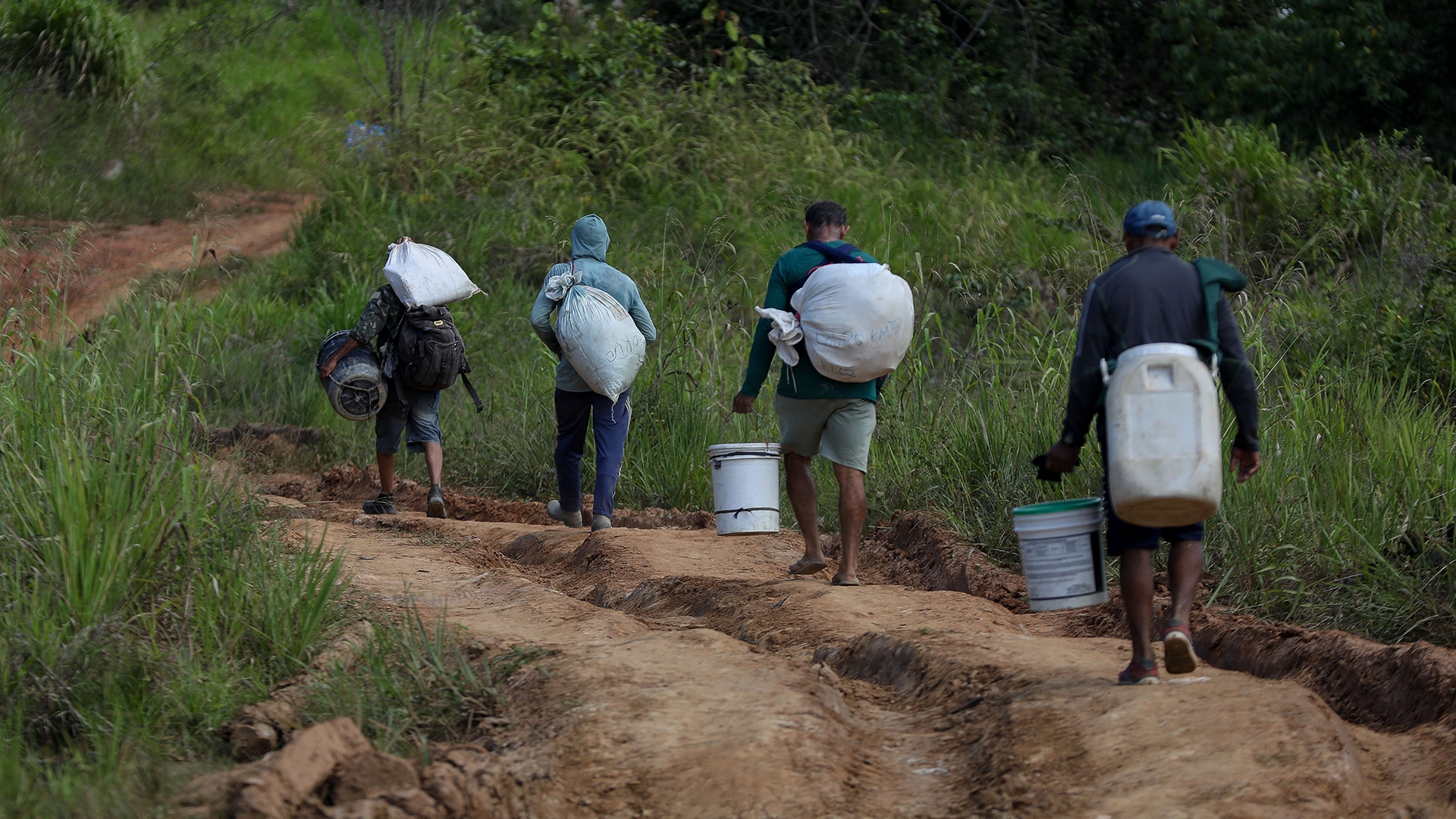 Brazil government driving out gold miners from Yanomami indigenous ...