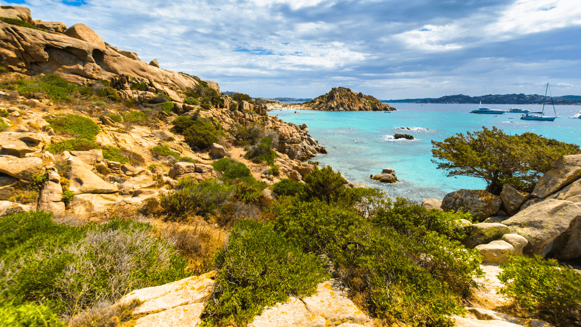 Mauro Morandi, la storia dell’eremita dell’isola di Budelli - LifeGate