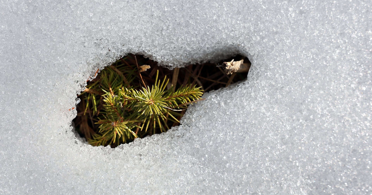 Neve, la stagione sciistica parte con accumuli altalenanti - LifeGate