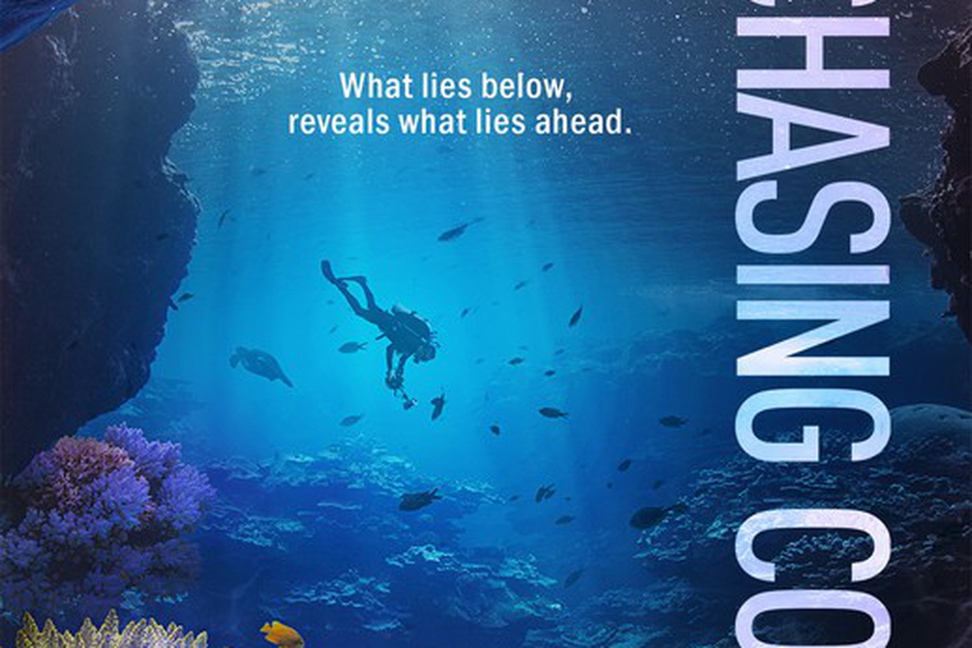 Chasing coral, il documentario sui coralli che ci fa sentire coinvolti ...