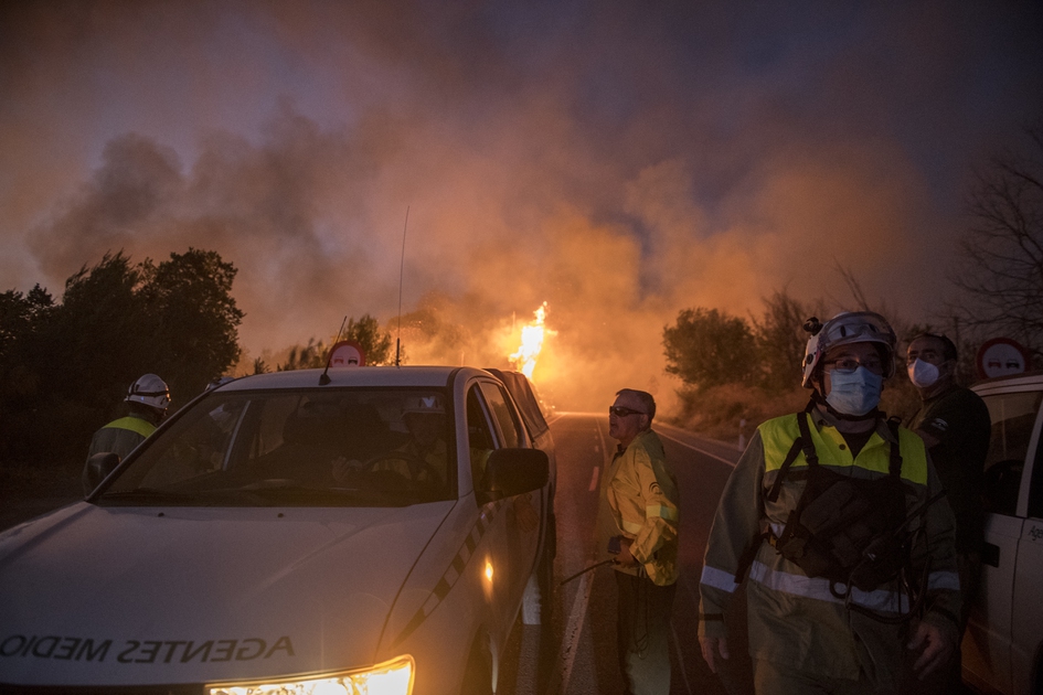 Taking stock of the wildfires blazing across the world in recent weeks