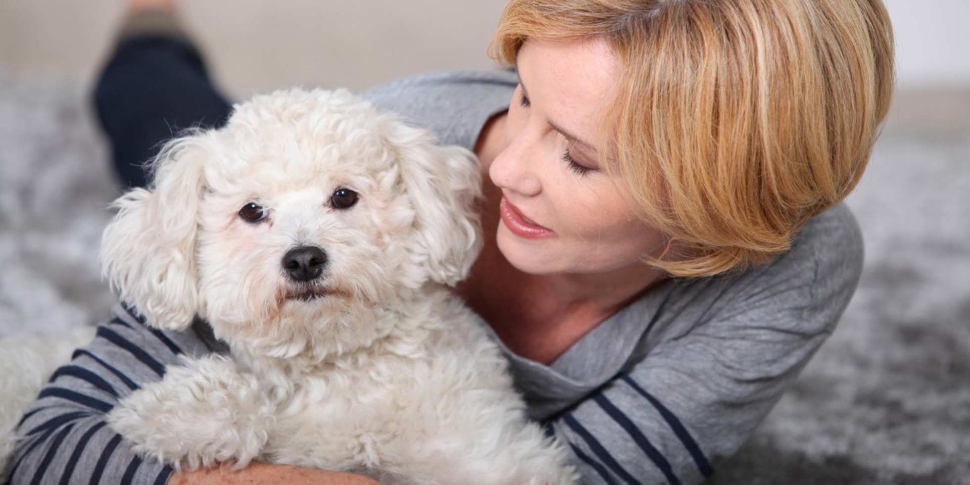 Metrite e piometra, anche la cagnetta va dal ginecologo - LifeGate