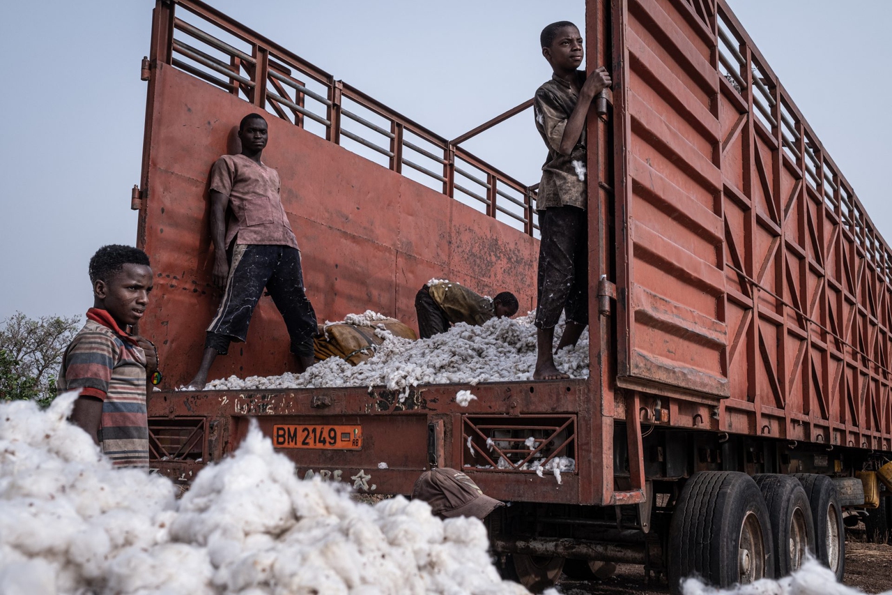 Benin is the new jihadist front in Africa - LifeGate