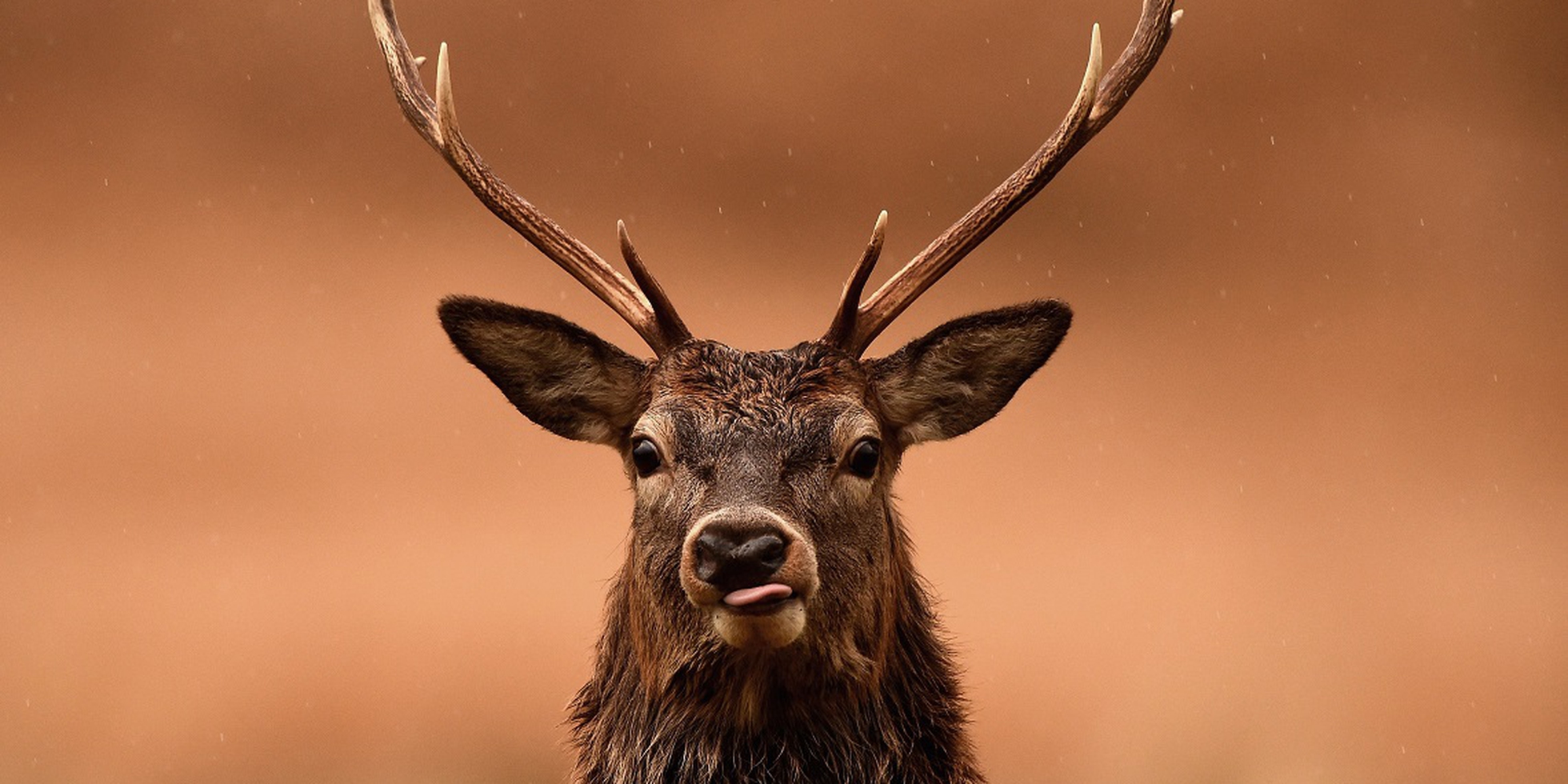 Queste attività aiutano a proteggere la biodiversità delle Alpi - LifeGate