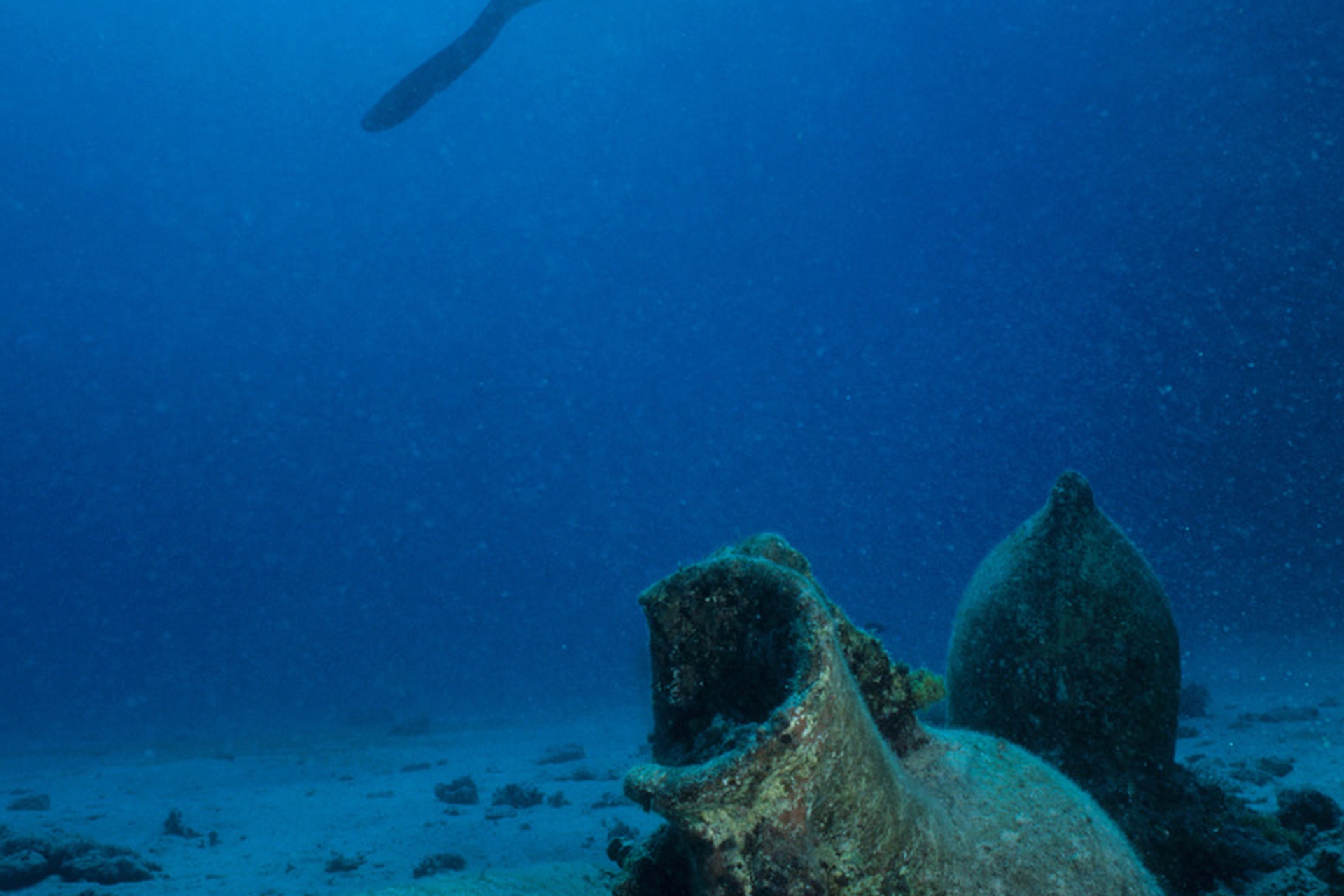 Alla scoperta di Zabargad, un paradiso nel mar Rosso